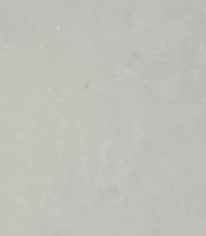 Lifestyle Lijmstrook LS Beton Tegel Klein 2265 - ENMOD